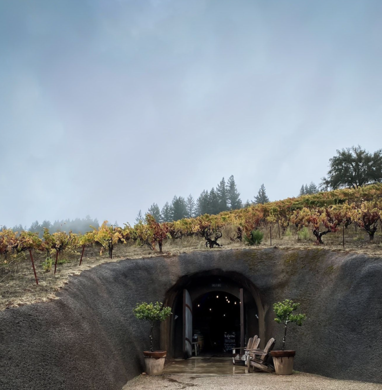 The Best Wineries in Sonoma for Tasting and More
